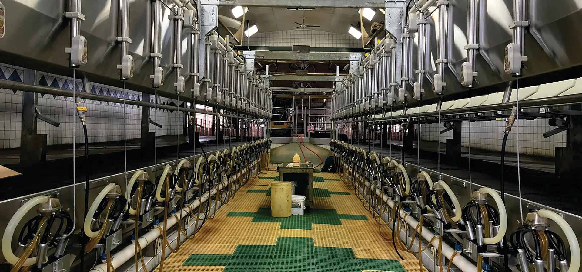 Our Products | BECO Dairy Automation Inc.