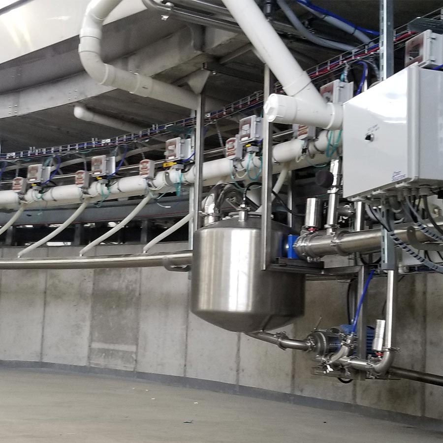 BECO Dairy Automation Inc. | Eliminating Restrictions