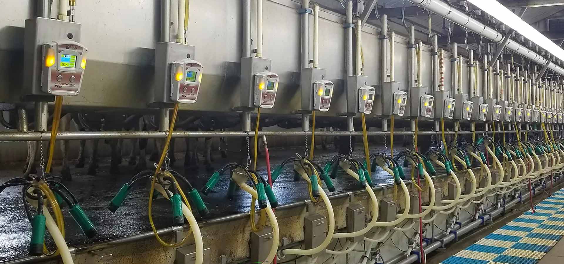 Our Products | BECO Dairy Automation Inc.